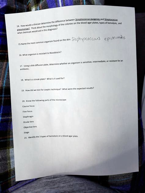 Difference Between Streptococcus Pyogenesand Streptococcus Clinician Determine Colonies On The