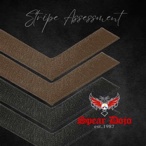Stripe Assessment Spear Dojo