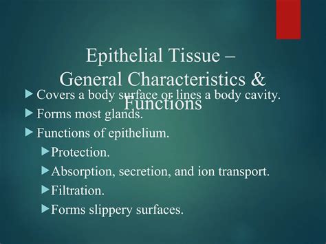 Epithelium Naming Classification And Junctions Of Epithelial Cells Ppt