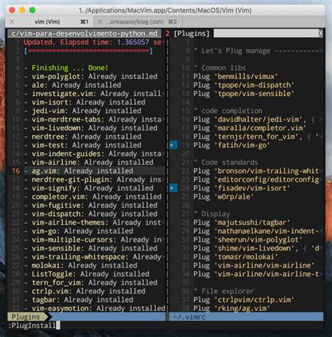 Vim Para Desenvolvimento Em Python Klaus Laube