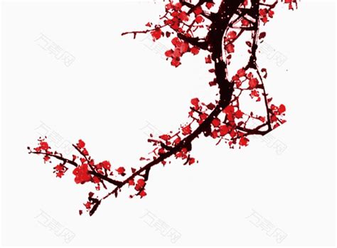 腊月梅花png元素素材图片下载 万素网