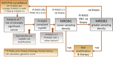 Prostate Cancer Diagnostic Pathway Benefits Of Incorporating Mpmri Download Scientific