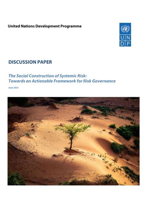 The Social Construction Of Systemic Risk Towards An Actionable