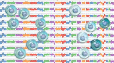 Single Cell Copy Number Analysis With Sci Seq Enseqlopedia