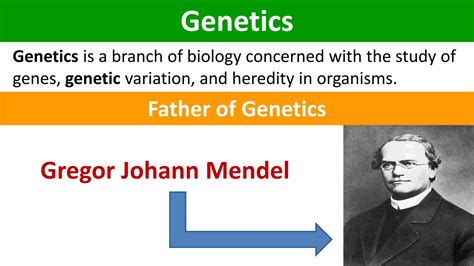 Genetics Unit 4 Pdf
