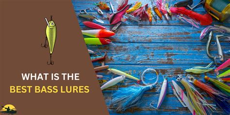 7 Best Bass Lures For Every Season And Condition In 2024