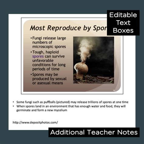 Fungi Powerpoint Notes And Videos Science Island
