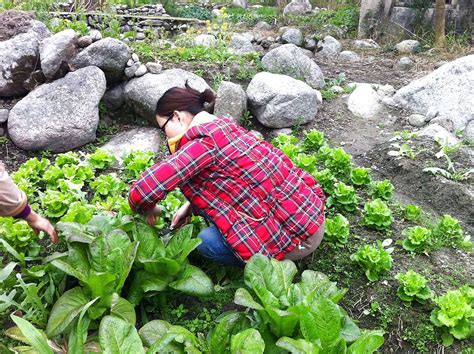 Asian Amateur Porn Pictures Xxx Photos Sex Images 1944578 Pictoa