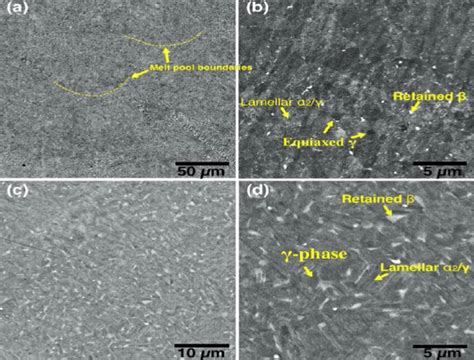 Sem Bse Micrographs Showing The Microstructure Of Ti˗48al˗2cr˗2nb At Download Scientific