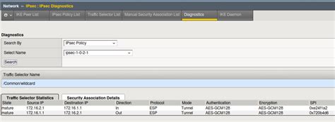 View Ipsec Security Association