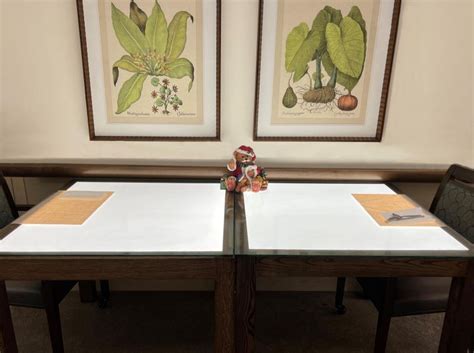 Light Tables Are A Great Solution To Provide Bright Light To Residents In… Light And Health