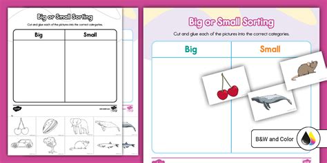 Big Or Small Sorting Activity ティーチャーメイド Big Or Small Sorting Activity ティーチャーメイド