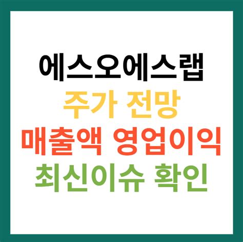 에스오에스랩 주가 전망 테슬라 로보택시 관련주