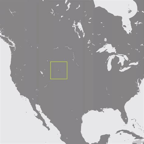 Wyoming Toad — Expedition Art