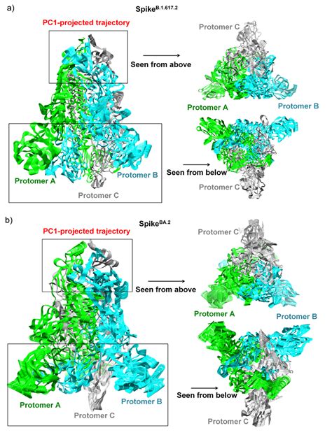 Md Trajectories Projected In Eigenvector 1 The Md Trajectory Projected Download Scientific
