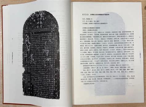 河南寺庙道观碑刻集成洛阳卷三 书籍资料库