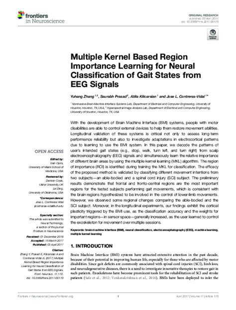 Pdf Multiple Kernel Based Region Importance Learning For Neural Classification Of Gait States
