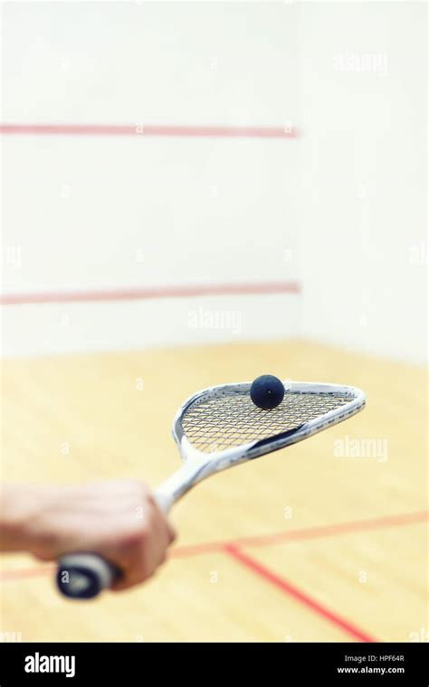 Squash Racket And Ball In Mens Hand Racquetball Equipment Squash Ball On Squash Racket With