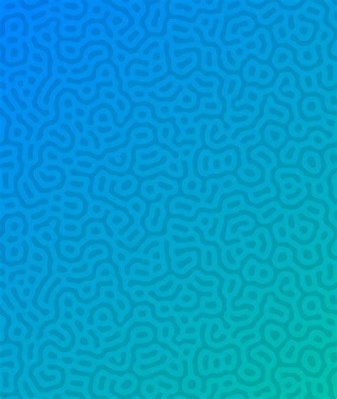 Safer Sex Work Handbook A Basic Guide To Keeping Penises Safe And Sexy