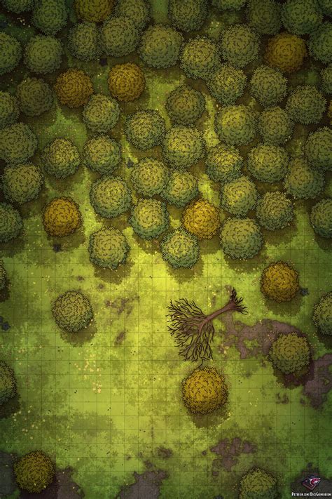 Mystical Forest Battle Map For Rpg Adventures