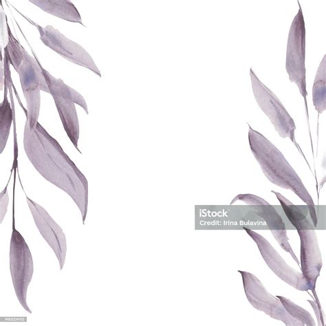 프레임 수채화 보라색 나뭇잎 흰색 배경에 설정된 요소입니다 보라색에 대한 스톡 벡터 아트 및 기타 이미지 보라색 수채화 프레임 Istock