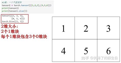 【torch笔记】图解tensor张量维度 知乎