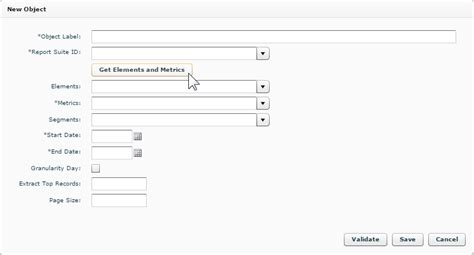 extracting data from omniture sitecatalyst