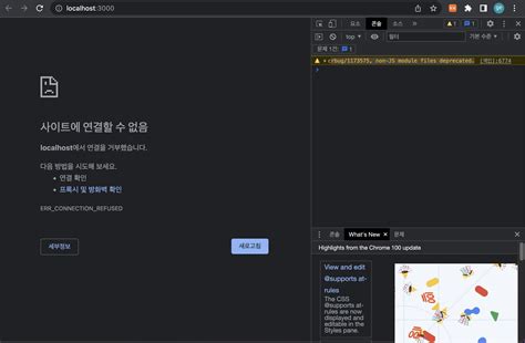 Localhost Node Module Type Error