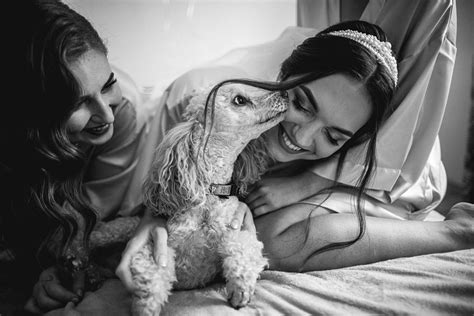 Фотошкола Chik Хто вже складає плани на новий рік Фотошкола Chik