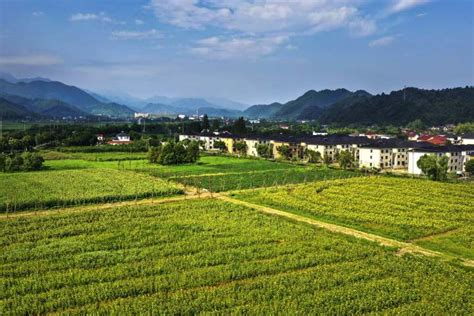 夏天的农村是怎样的 农村人的夏天 乡村的夏天的特点 大山谷图库