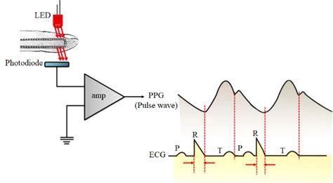 Pulse Wave Measurement Method Download Scientific Diagram