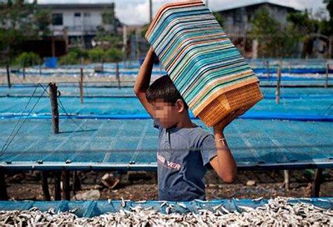 စစ်မှုထမ်းဥပဒေ အကောင်အထည်ဖော်ပြီးနောက် ကလေးလုပ်သားဦးရေ တိုးလာ