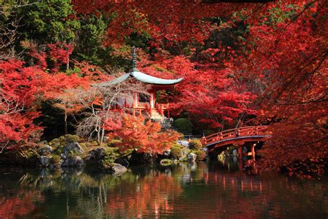 写真 醍醐寺 紅葉 高画質 秋 京都 京都 秋 紅葉 京都 絶景