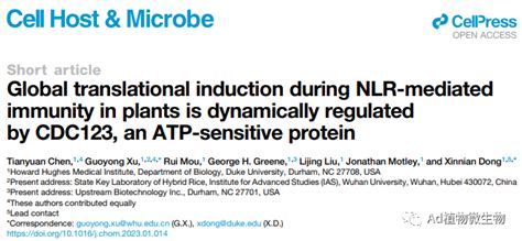 Cell Host And Microbe 杜克大学董欣年团队研究揭示植物免疫的翻译调控机制！ 知乎