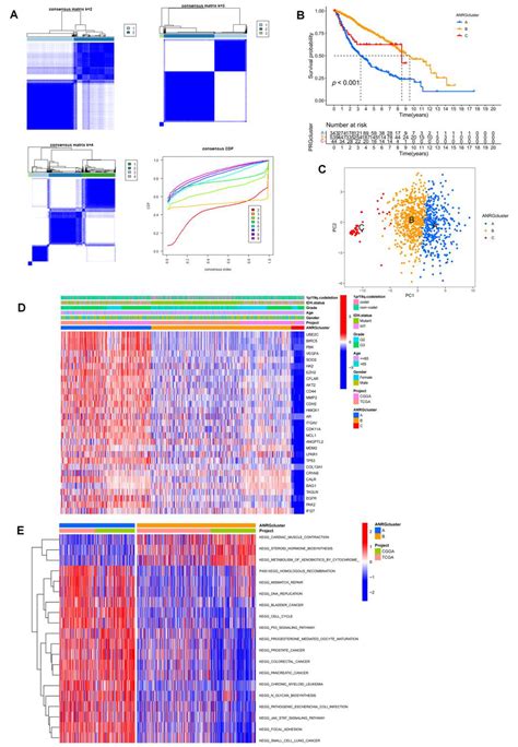 Subgroups Of Lggs Associated With 29 Anrgs A The Consensus Matrix