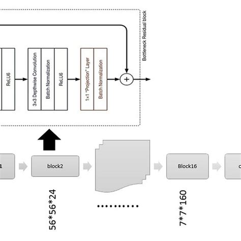 the architecture of mobilenet v2 model download scientific diagram