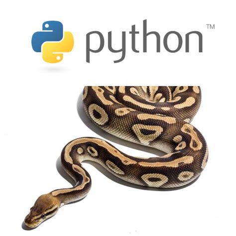 Mohammed Salih Contractor On Linkedin Python Dataanalysis Resources Recommend