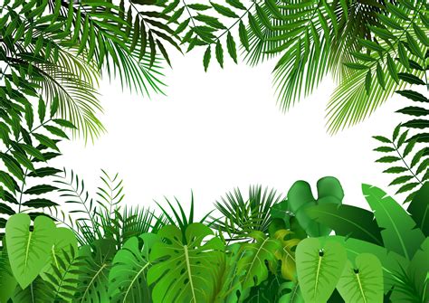 Jungle Vector Art Icons And Graphics For Free Download
