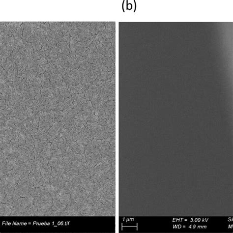 Image Of The Membrane Using Sem Of The A Cross Section And B Top