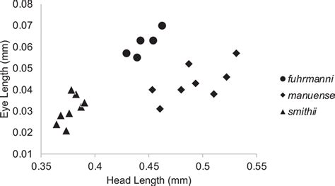 Bivariate Plot Of Eye Length Vs Head Length Among Measured A