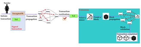 Generic Transaction Process Of A Blockchain Download Scientific Diagram