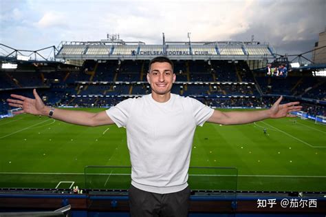 彼得罗维奇加盟切尔西 知乎
