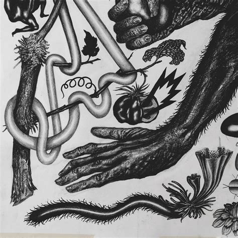 Tomato Picker On Behance