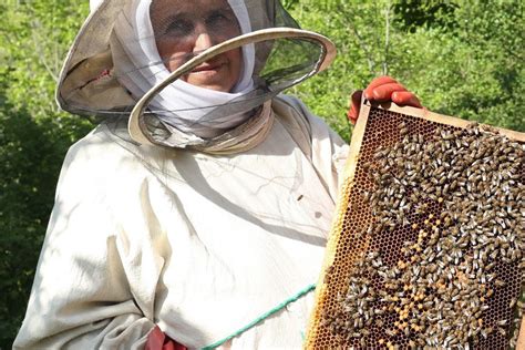 Rural People Make A Beeline For Prosperity