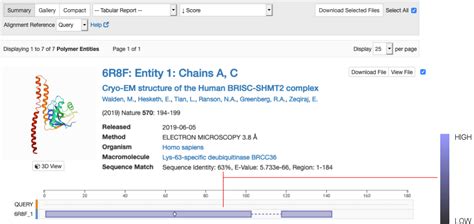 Protein Sequence Alignment View