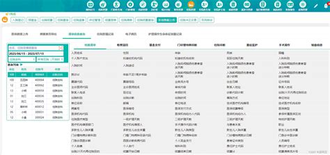 Java原生html Websocketmysql云his信息管理系统源码 支持一体化电子病历四级住院管理系统html Csdn博客