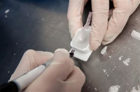 Paraffin Sections Of Conventional Tissues Creative Bioarray Creative Bioarray