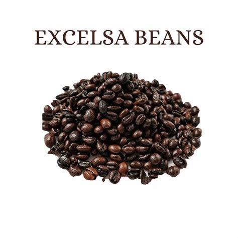 Excelsa Coffee At ₹ 540 Kg Dark Roasted Coffee In Thane Id