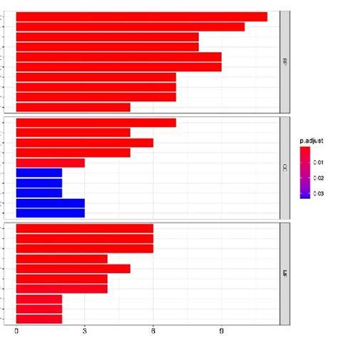 Bioinformatics Analyses Revealing The Top Biological Processes Download Scientific Diagram