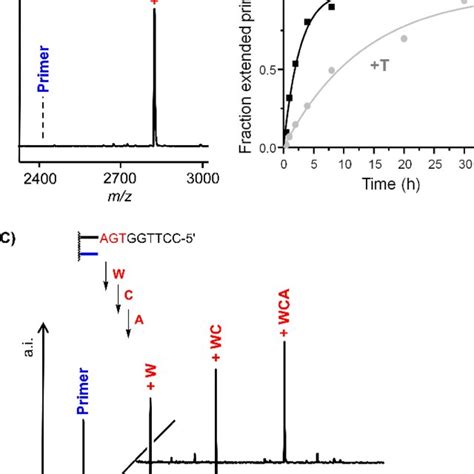 Primer Extension With Nucleotide Monomers A Maldi Mass Spectrum For